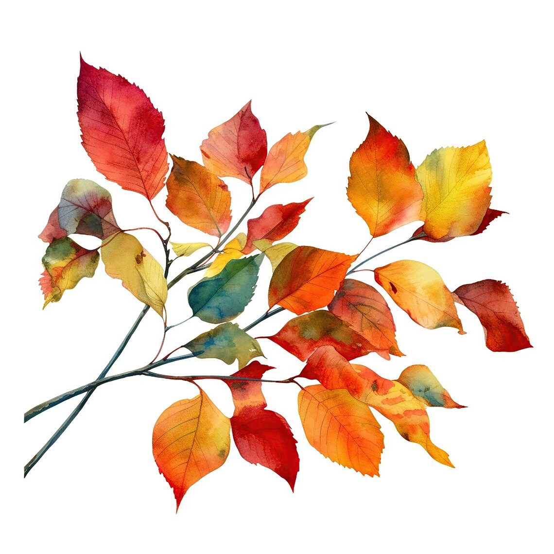 Fall Leaf Decorations Water Color Painting | 13 High Quality JPG ...