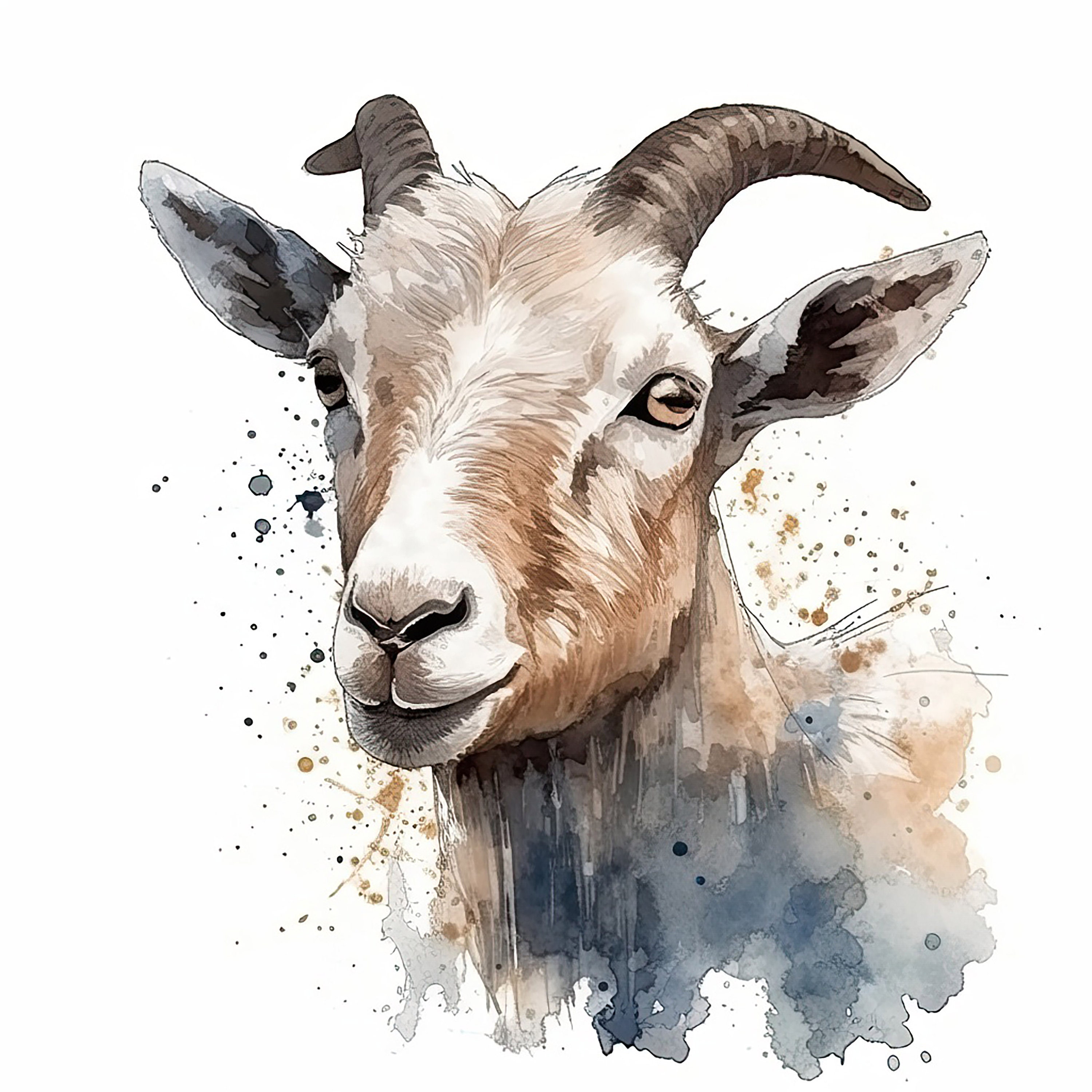Goat Water Color Painting | 12 High Quality JPG Clipart Pack | Digital ...