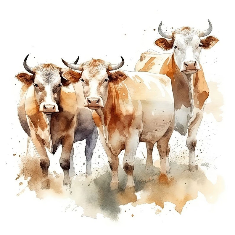 Cattle Water Color Painting | 12 High Quality JPG Clipart Pack ...