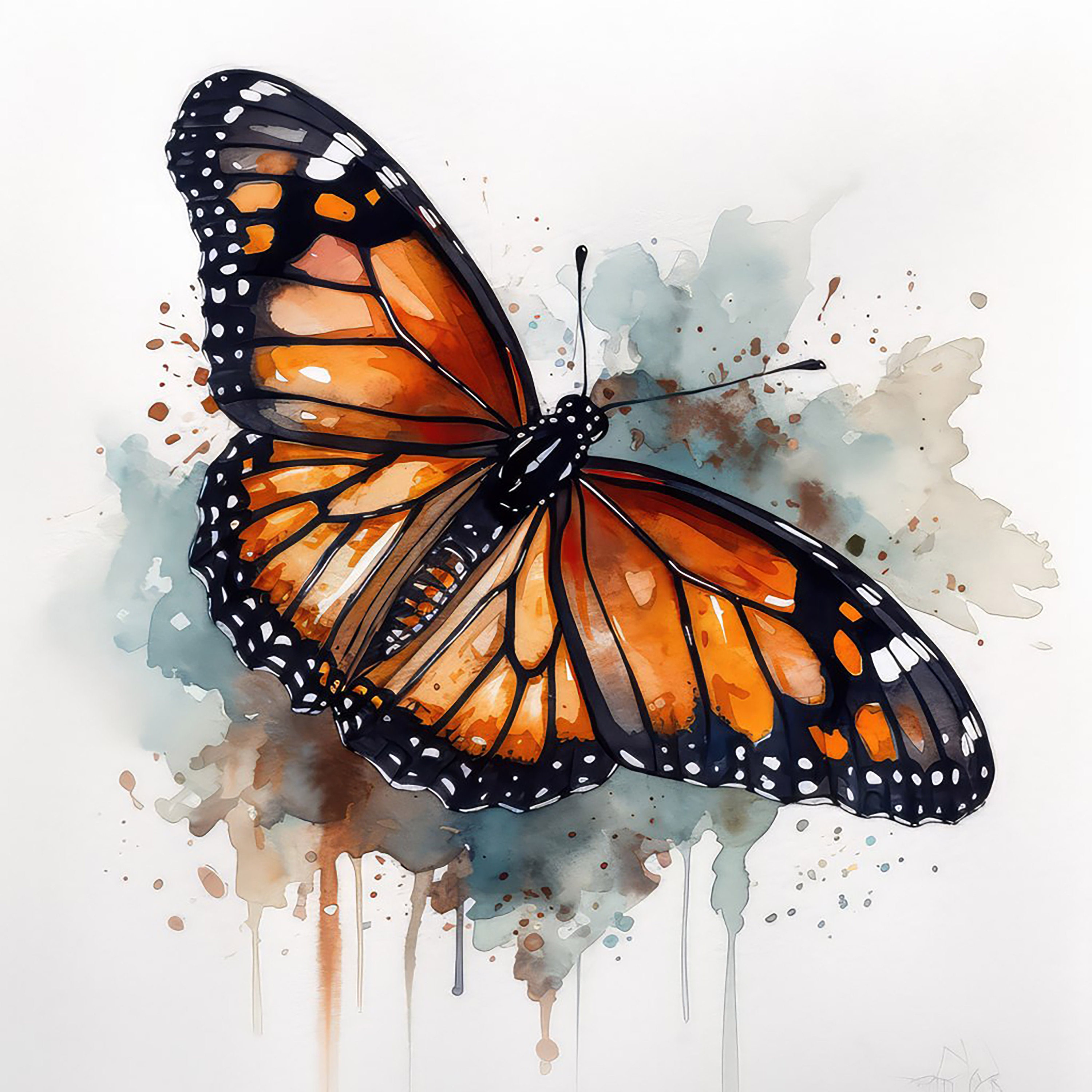 Monarch Butterfly Water Color Painting | 12 High Quality JPG Clipart ...