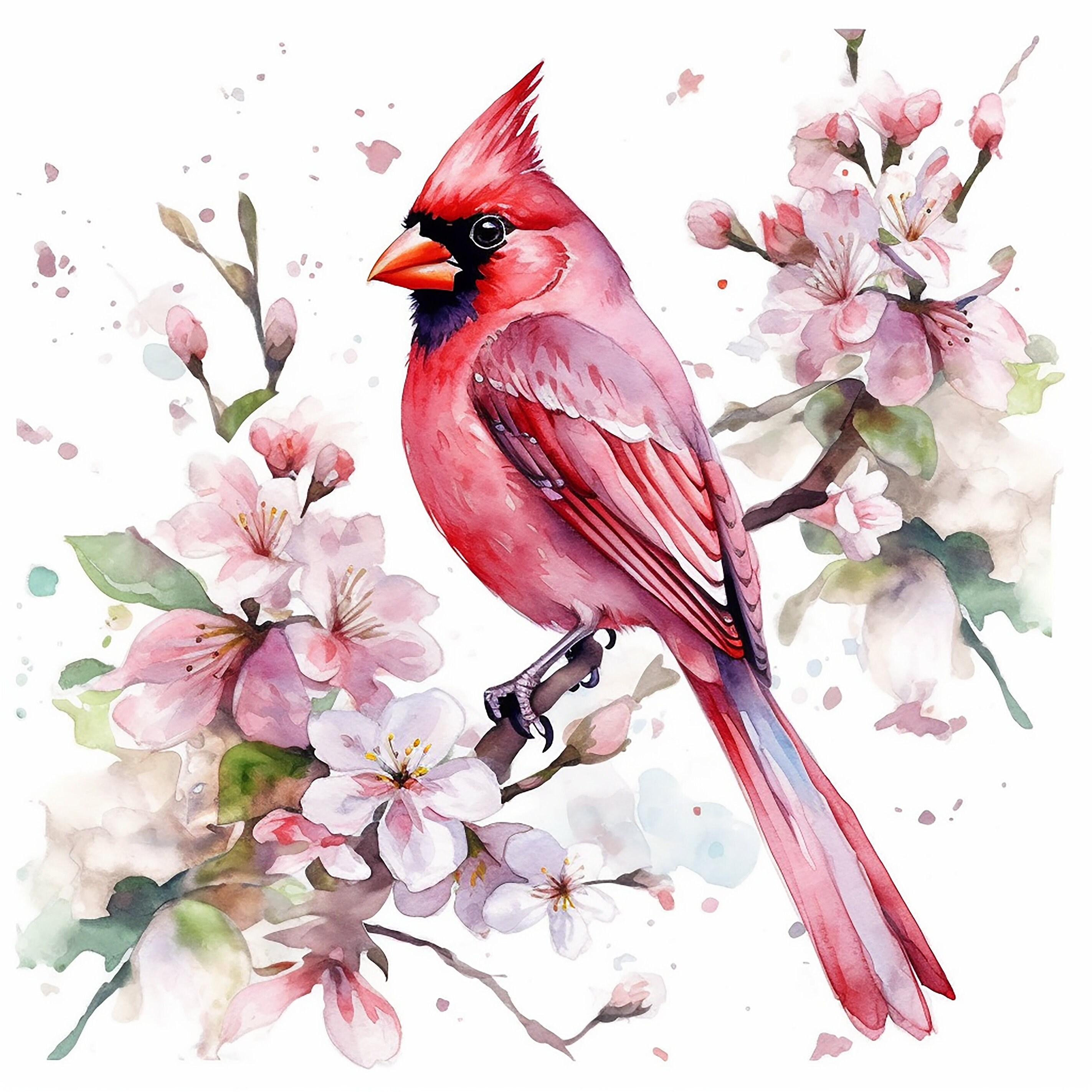 Cardinal and Cherry Blossoms Water Color Painting | 12 High Quality JPG ...