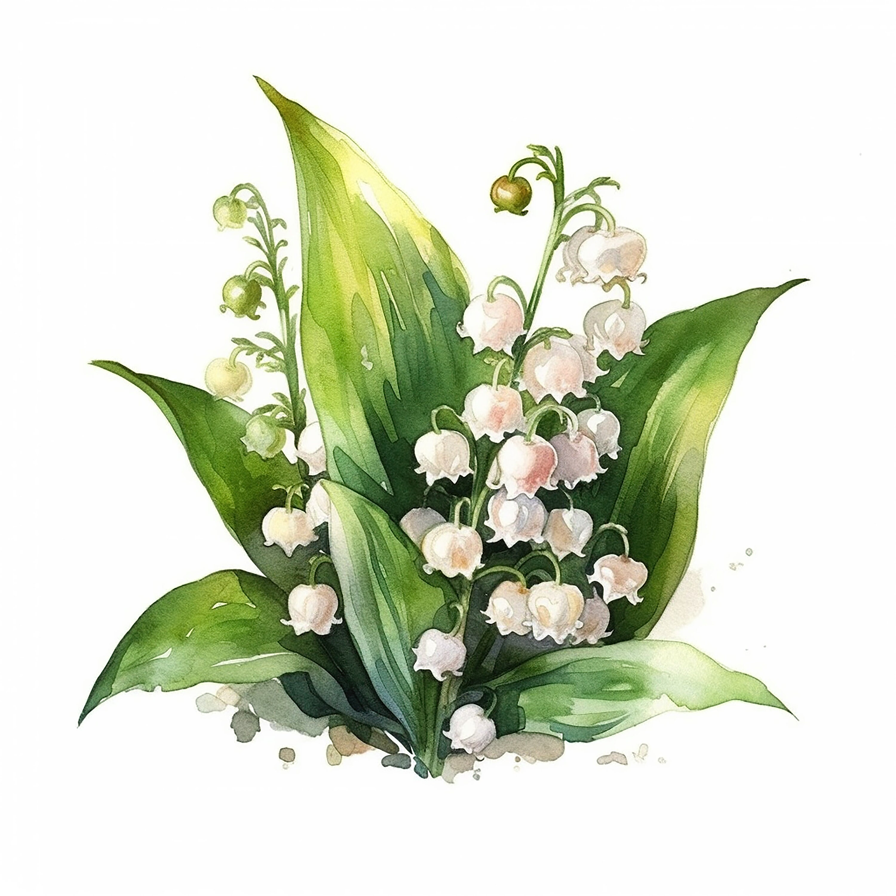 Lily of the Valley Bouquet Water Color Painting | 12 High Quality JPG ...