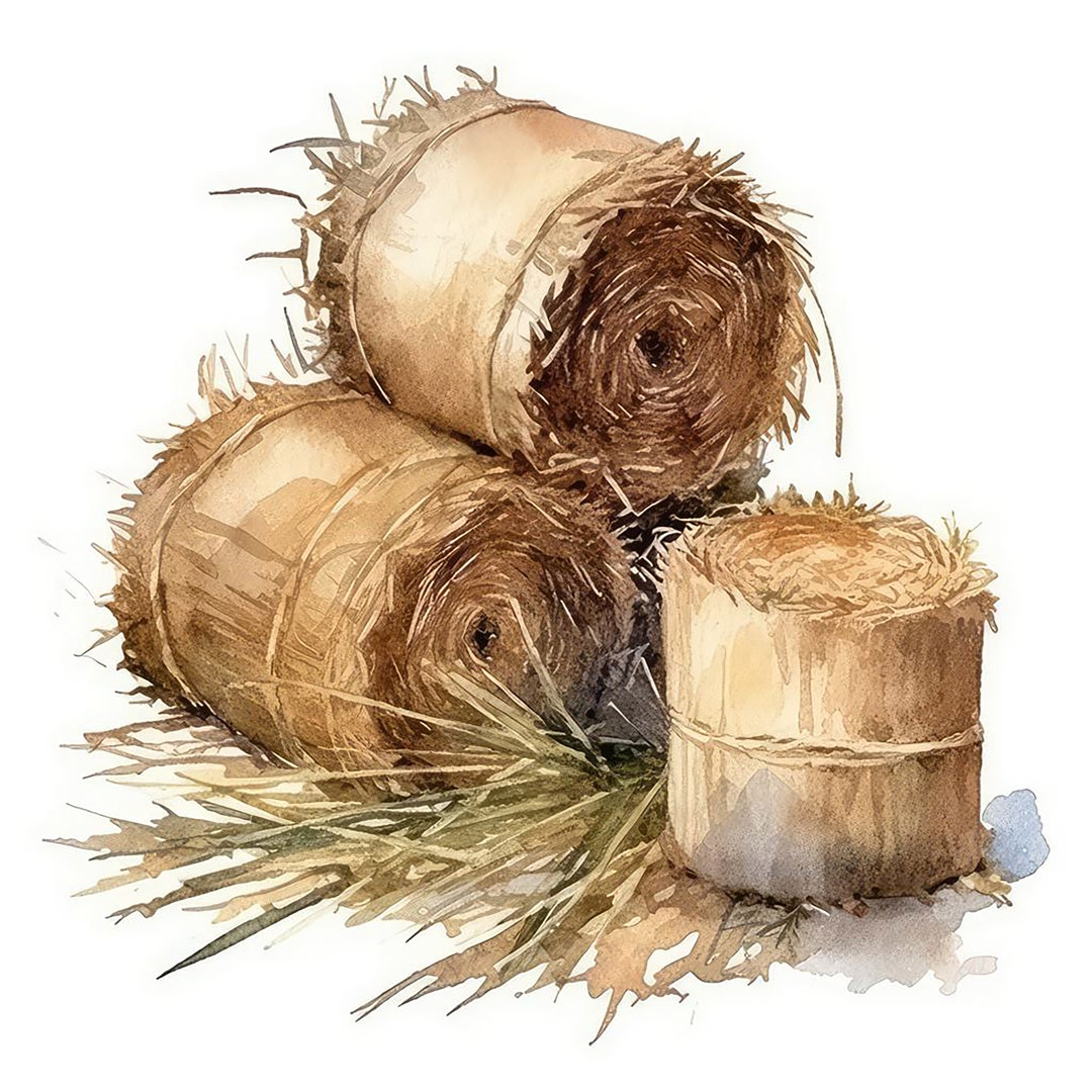Hay Bales Water Color Painting | 12 High Quality JPG Clipart Pack ...