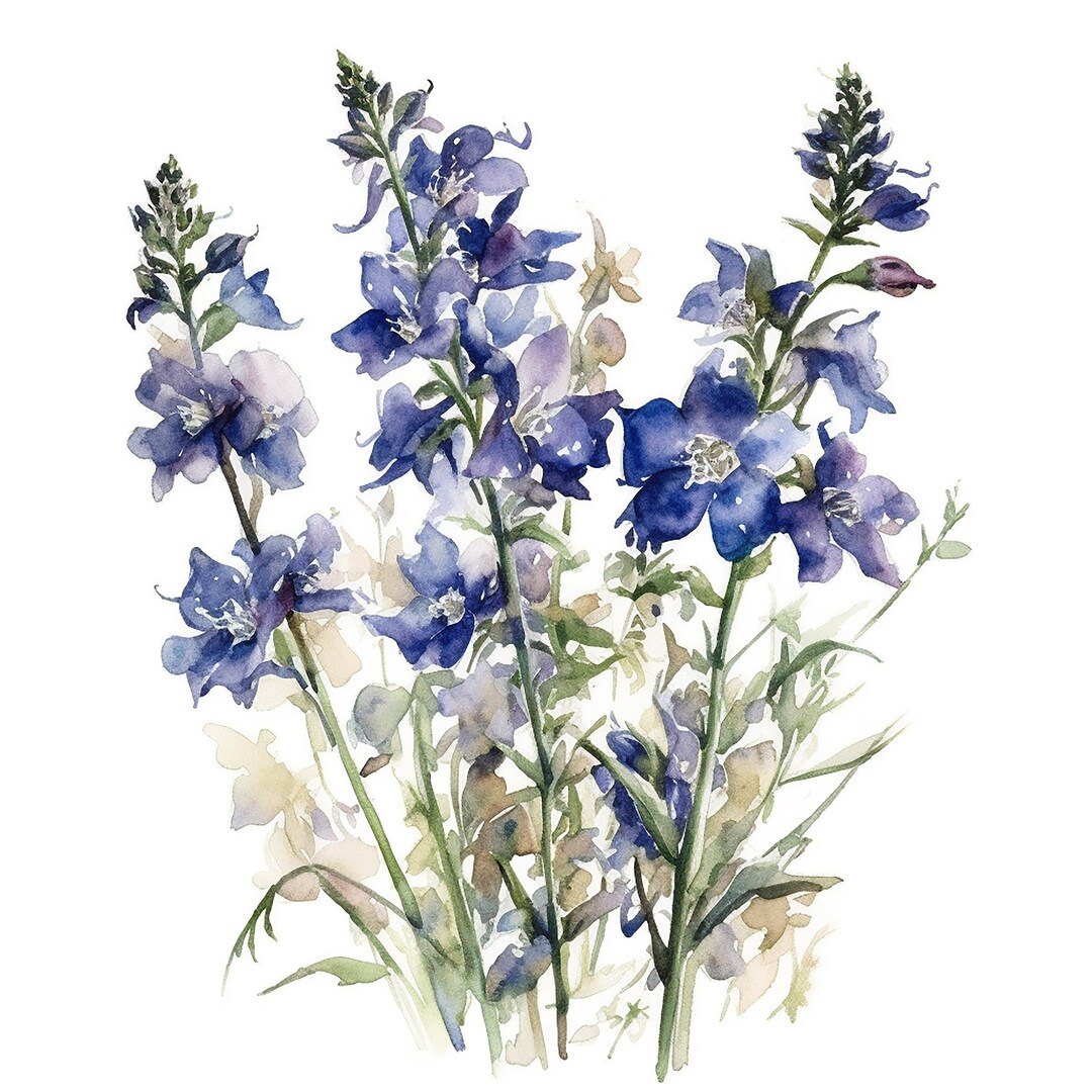Larkspur Bouquet Water Color Painting | 12 High Quality JPG Clipart ...