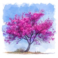 Redbud Tree - Etsy
