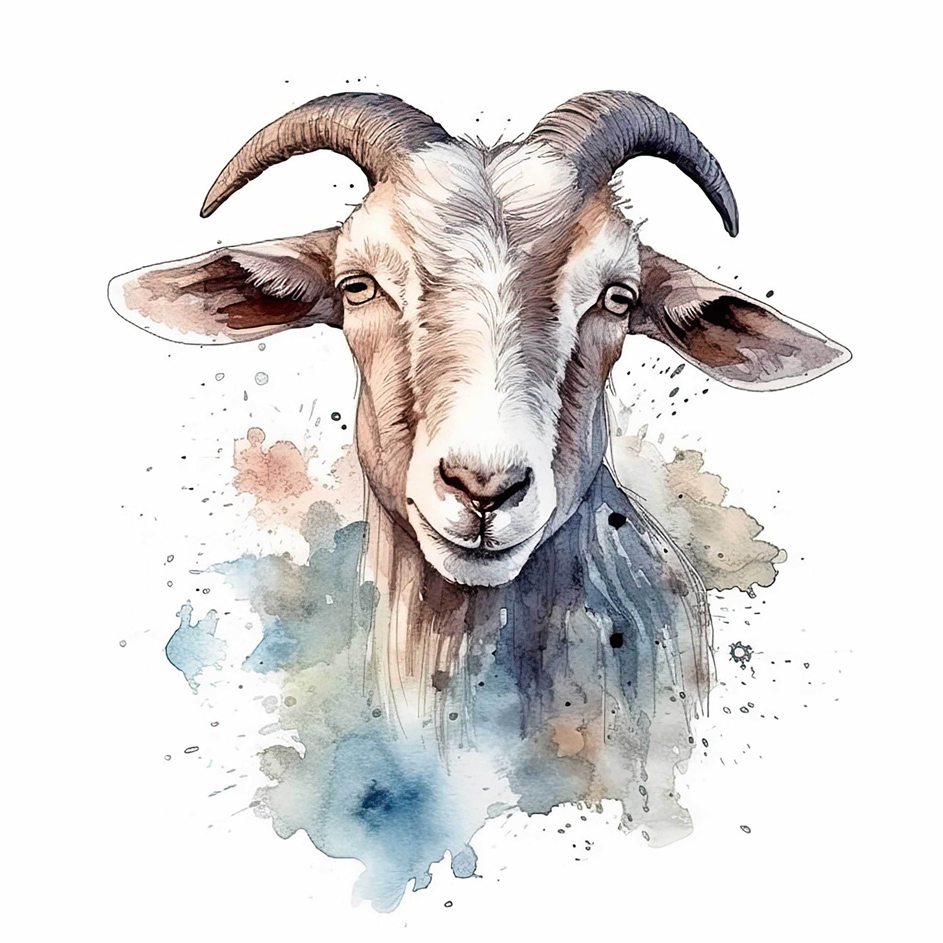 Goat Water Color Painting | 12 High Quality JPG Clipart Pack | Digital ...