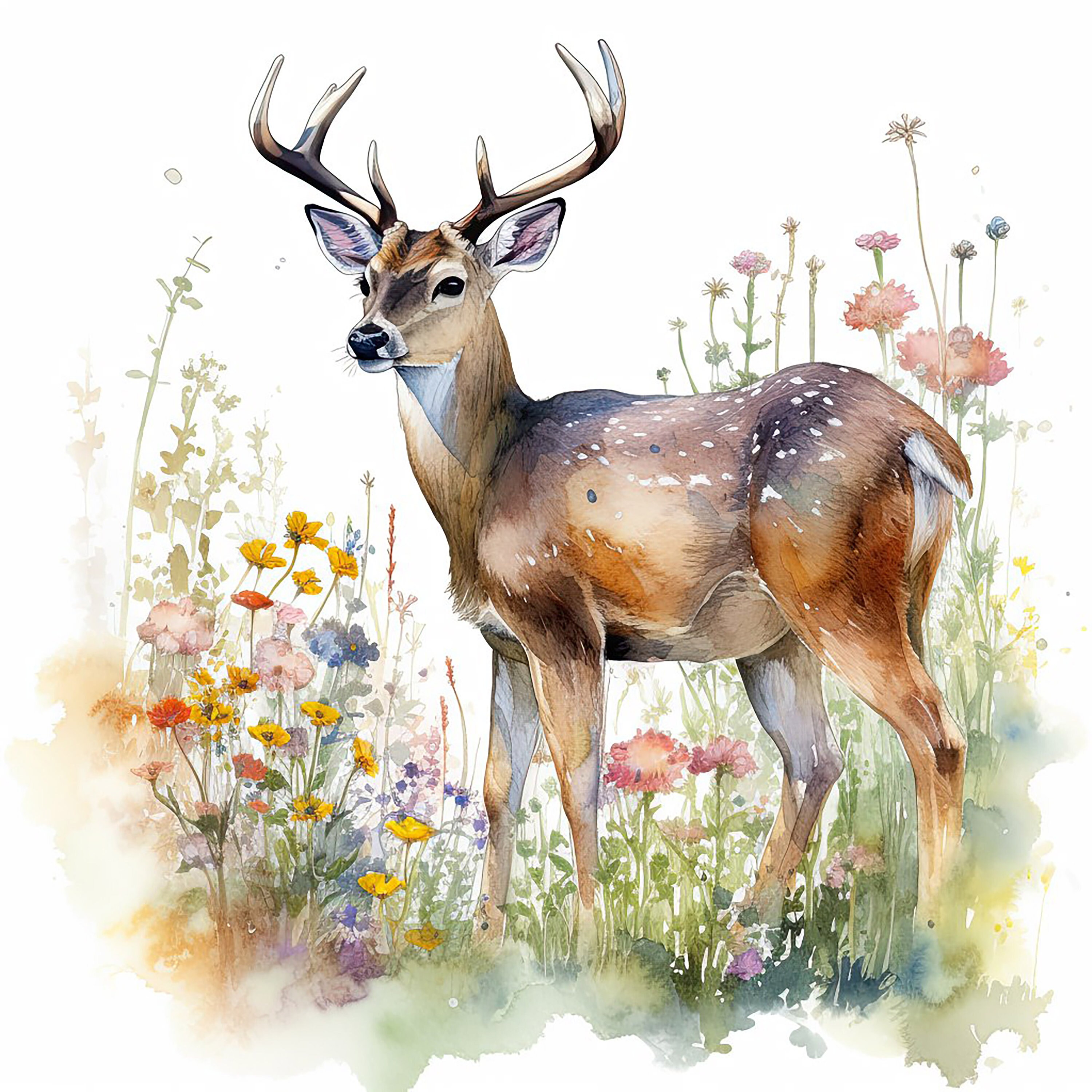 Deer in Wild Flowers Water Color Painting | 12 High Quality JPG Clipart ...