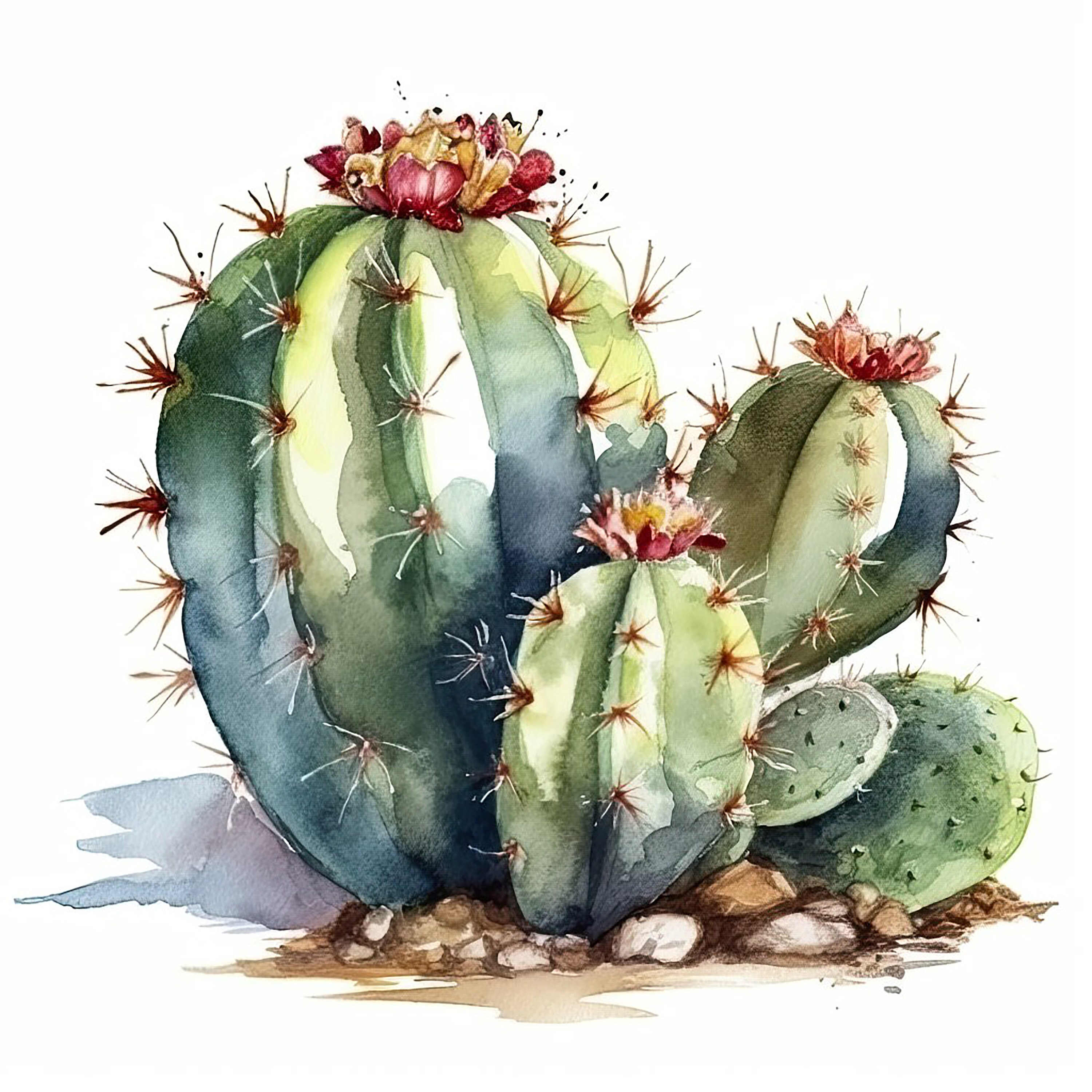 Cactus Water Color Painting | 12 High Quality JPG Clipart Pack ...