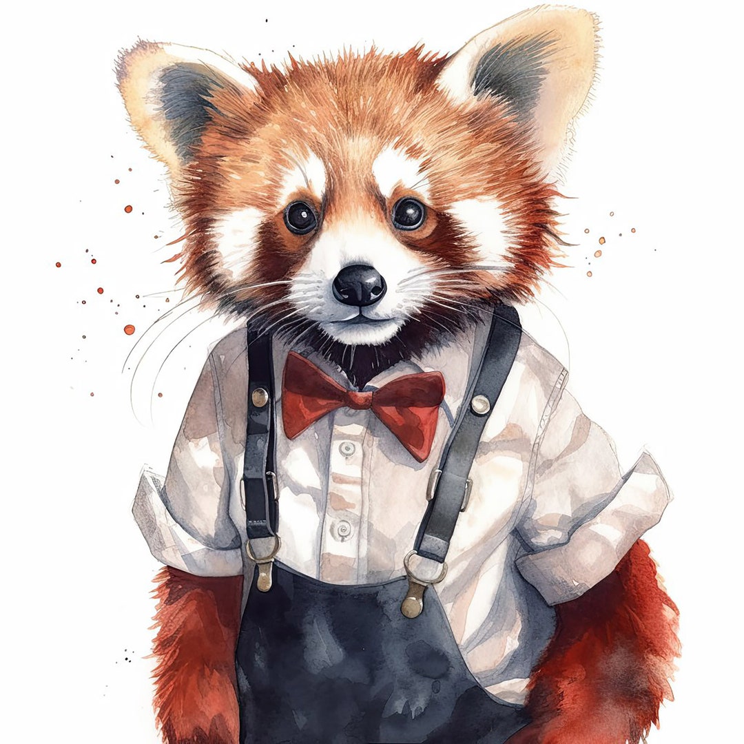 Red Panda in Suspenders Color Painting | 12 High Quality JPG Clipart ...