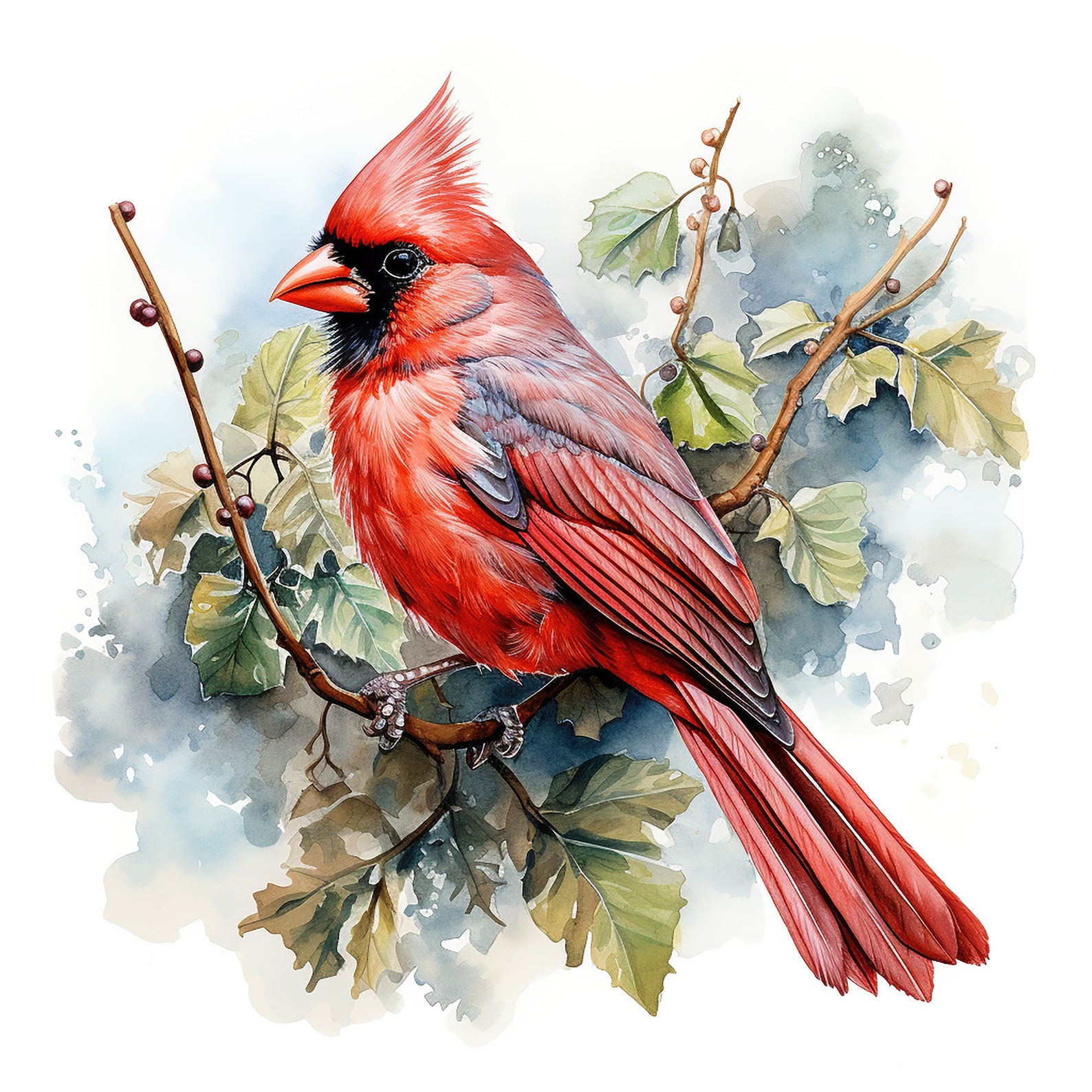 Cardinals Water Color Painting | 16 High Quality JPG Clipart Pack ...