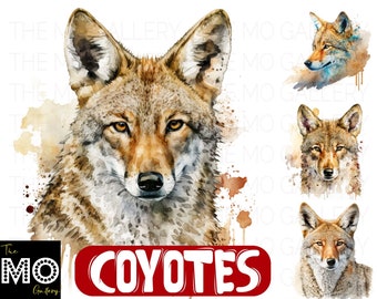 Desert Coyote PRINT by Illustrator Dennis A - Etsy