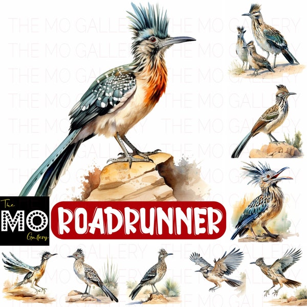 Roadrunner - Etsy
