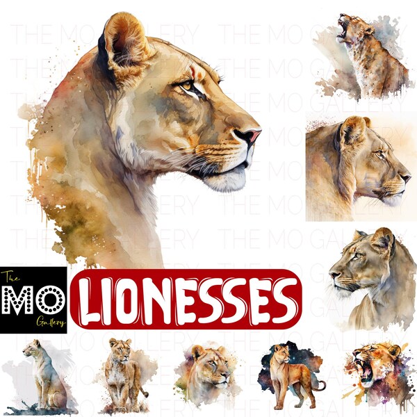 Lioness - Etsy