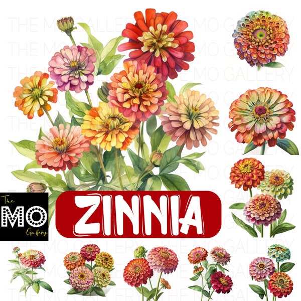 Zinnia Designs - Etsy