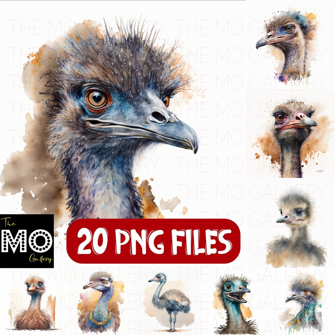 20 Ostrich & Baby Ostrich Portraits Watercolor Illustration - Etsy
