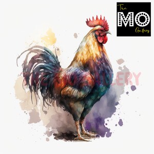 20 Rooster Portraits Watercolor Illustration Prints Card - Etsy