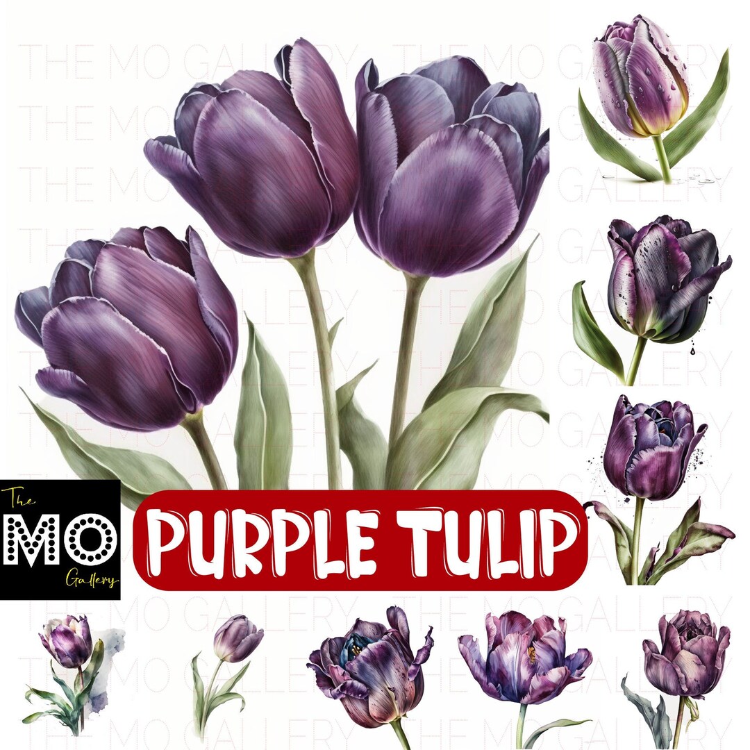 25 Purple Tulip Flowers Watercolor Portraits Instant Download - Etsy