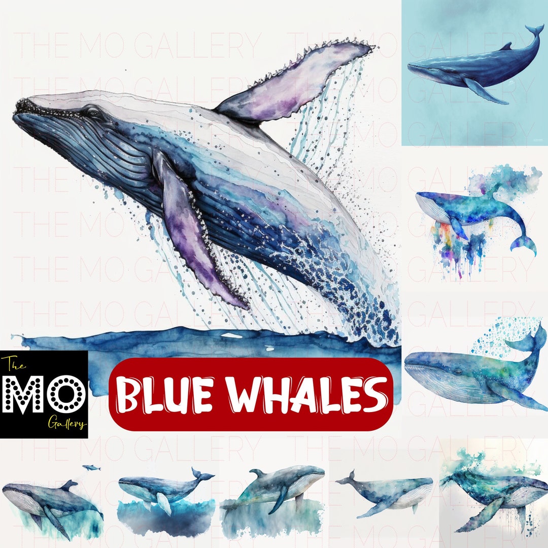 20 Blue Whale Portraits Watercolor Illustration Prints Card Making ...