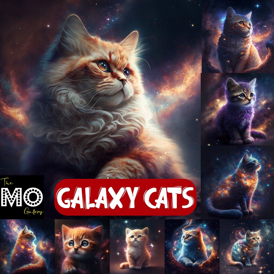 20 Galaxy Cats Portraits Cute Cats PNG Files Illustration - Etsy