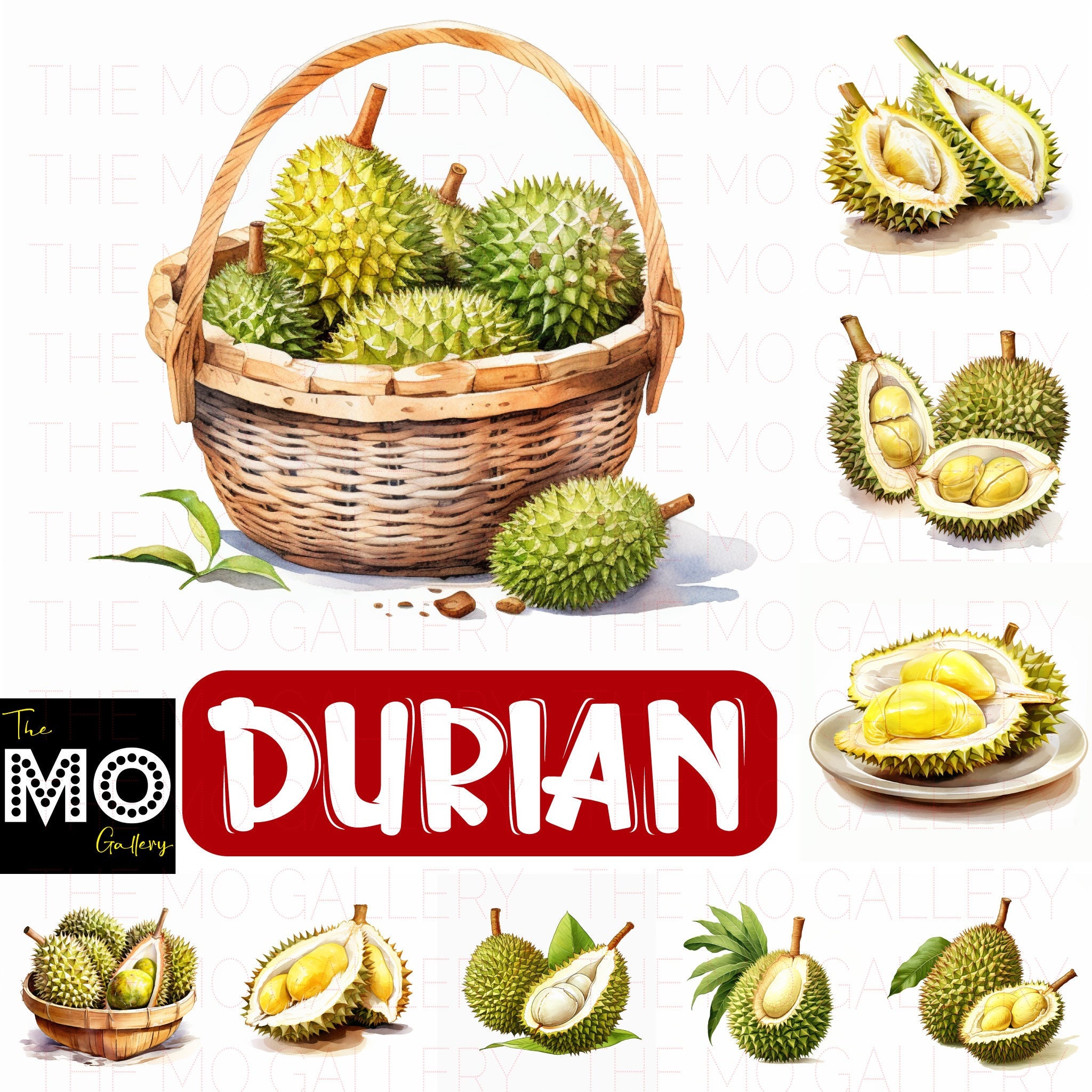 Durian Clipart