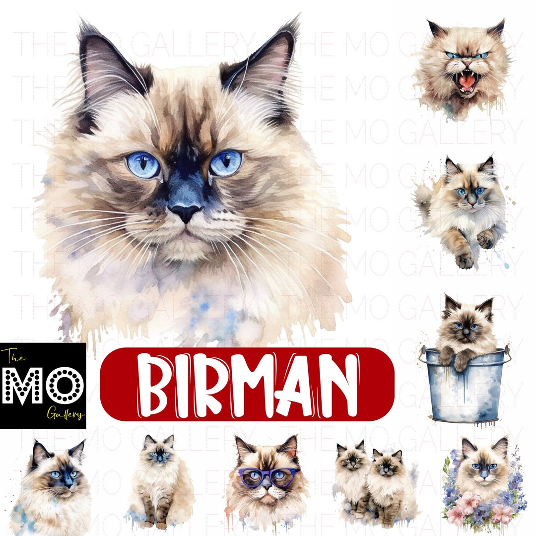 40 Birman Cat Watercolor Portraits Instant Download PNG JPG Files Card ...