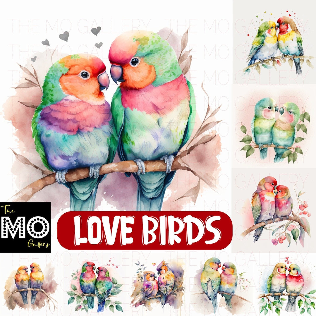 15 Love Birds Watercolor Portraits Instant Download PNG Files Card ...