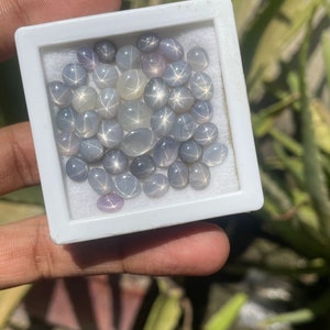 Star Sapphire Natural Six Rays Star Sri Lanka Sapphire Mix Shape Lot Star Sapphire Loose ...