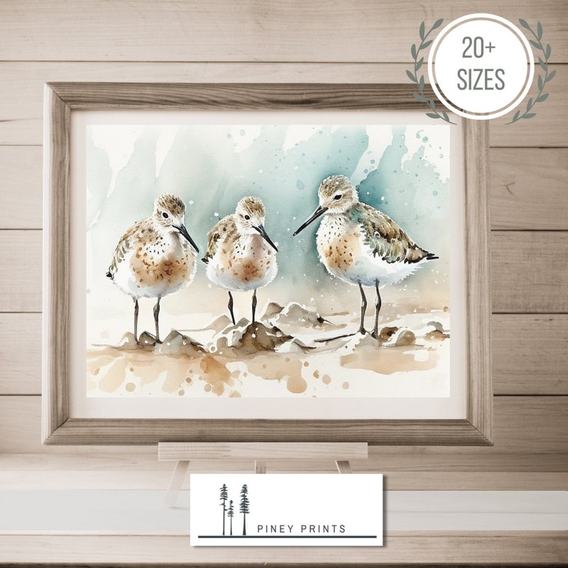 Sandpiper Wall Art - Etsy
