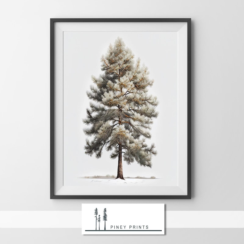 Printable Evergreen Tree - Etsy