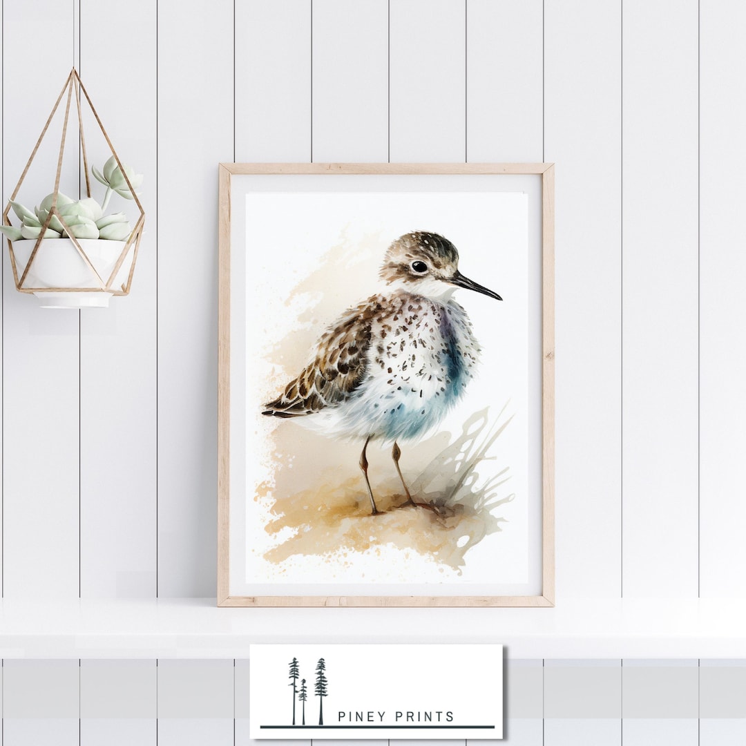 Watercolor Sandpiper Painting Digital Art Download for Home Coastal ...