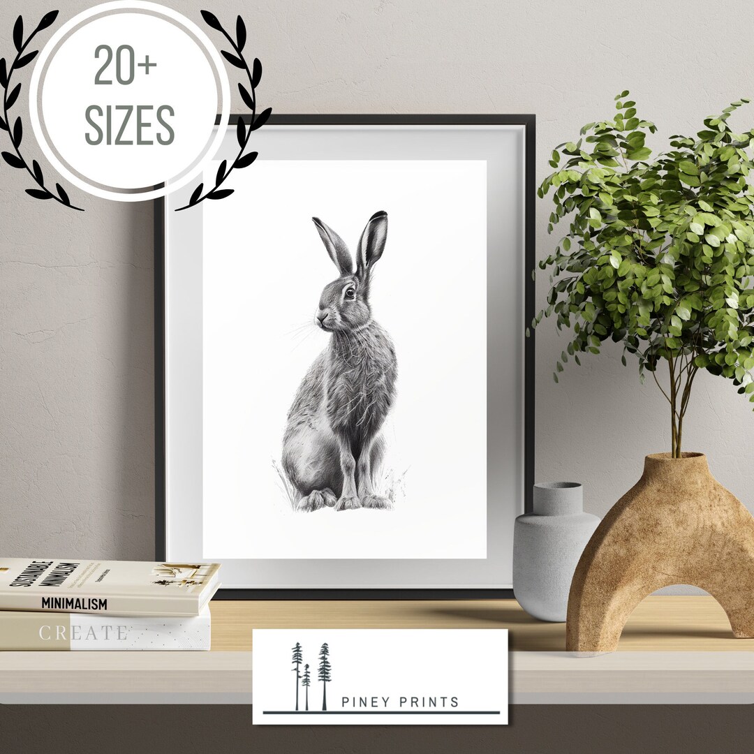 Wild Hare Black and White Drawing Woodland Animal Art Modern Gallery ...