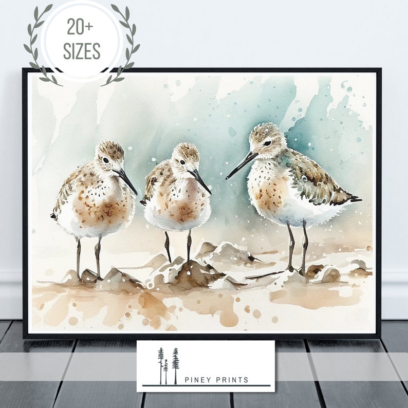 Sandpipers Beach Art Watercolor Painting Digital Art Gallery - Etsy