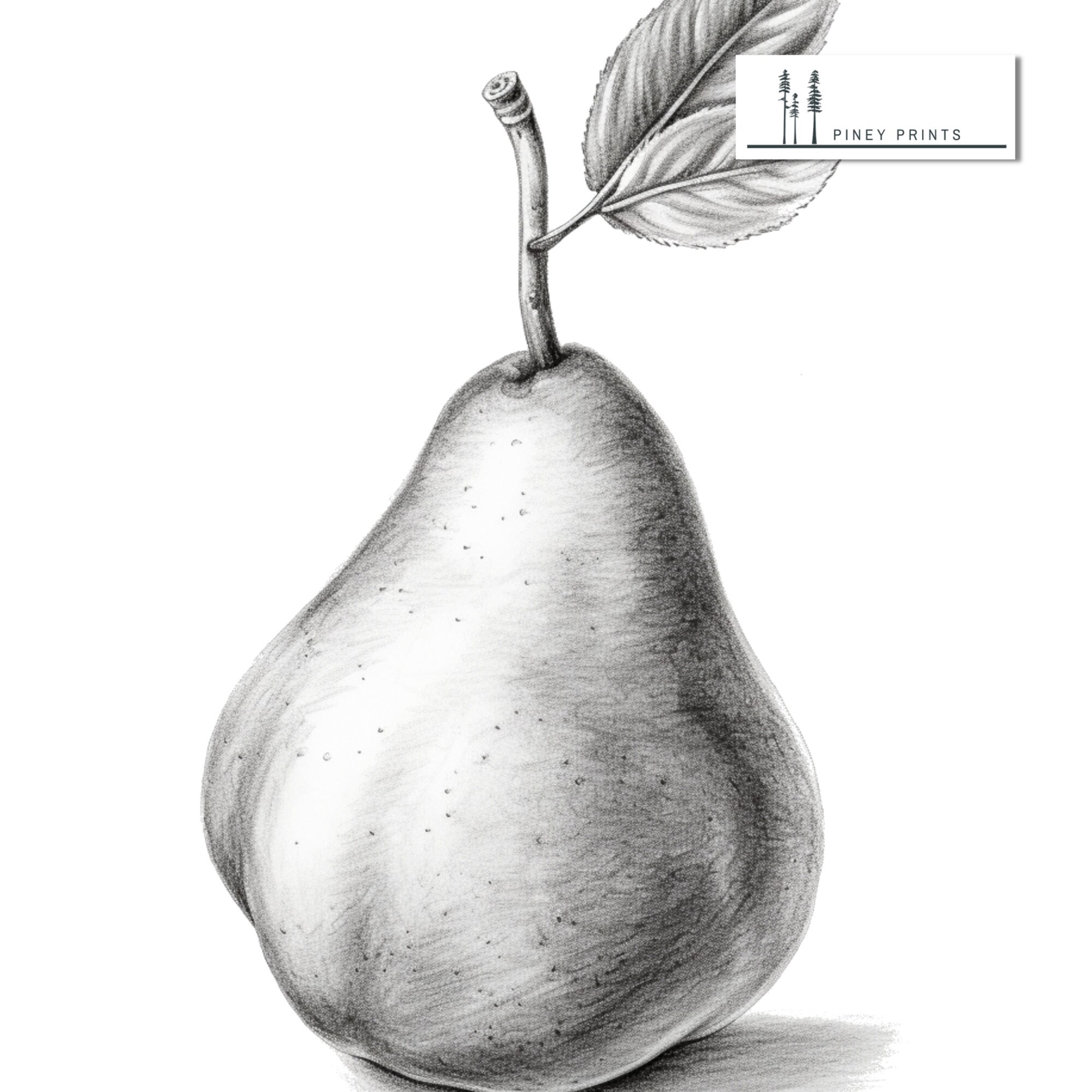 Minimalist Pear Sketch Printable Wall Art Instant Download Modern ...