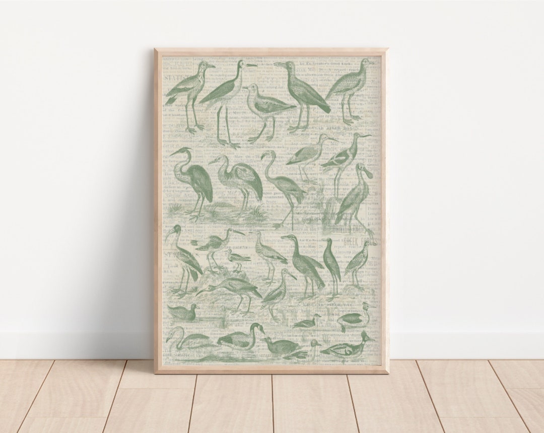 Vintage Sea Bird Print Newspaper Print Beachy Wall Art Newspaper Poster ...
