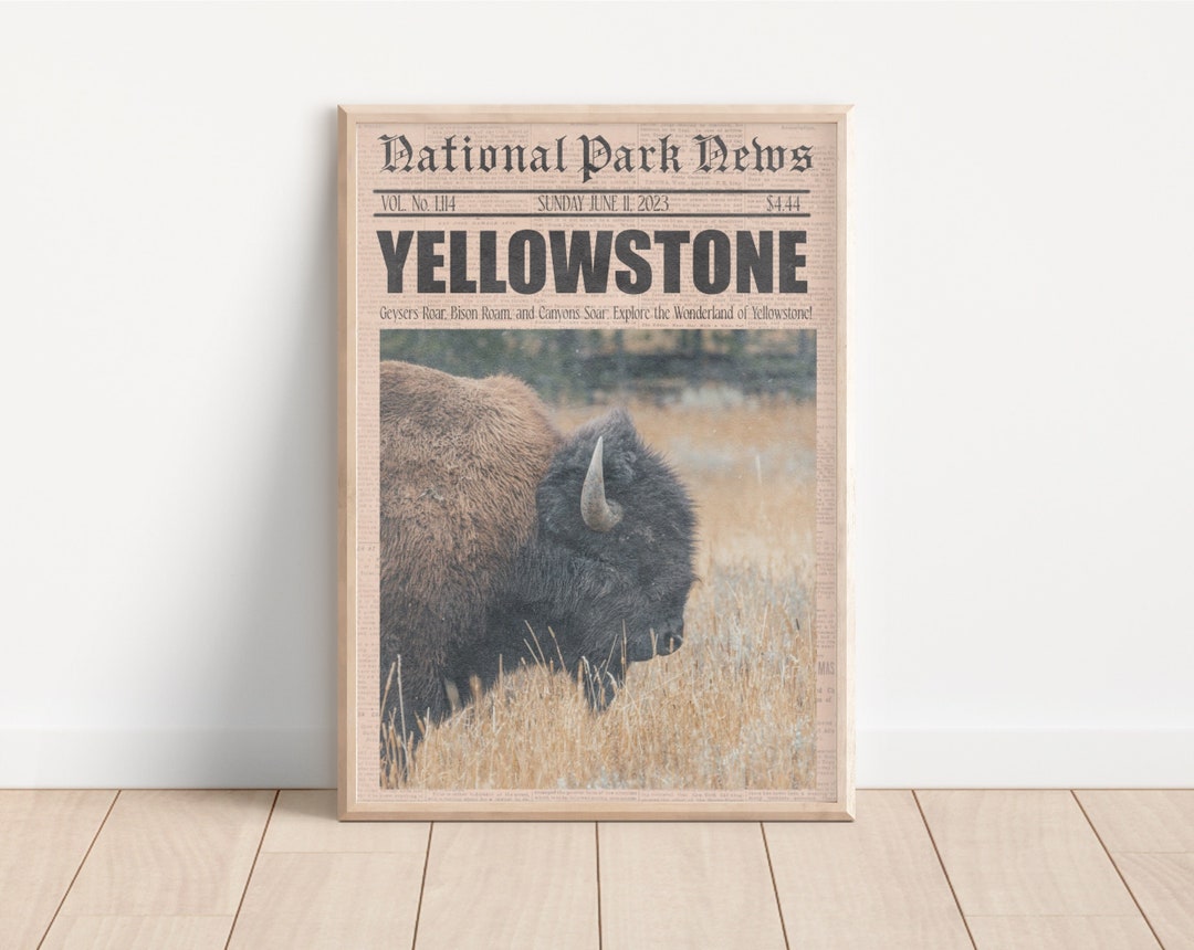 Yellowstone National Park Newspaper Print: Bison Photography (digital ...