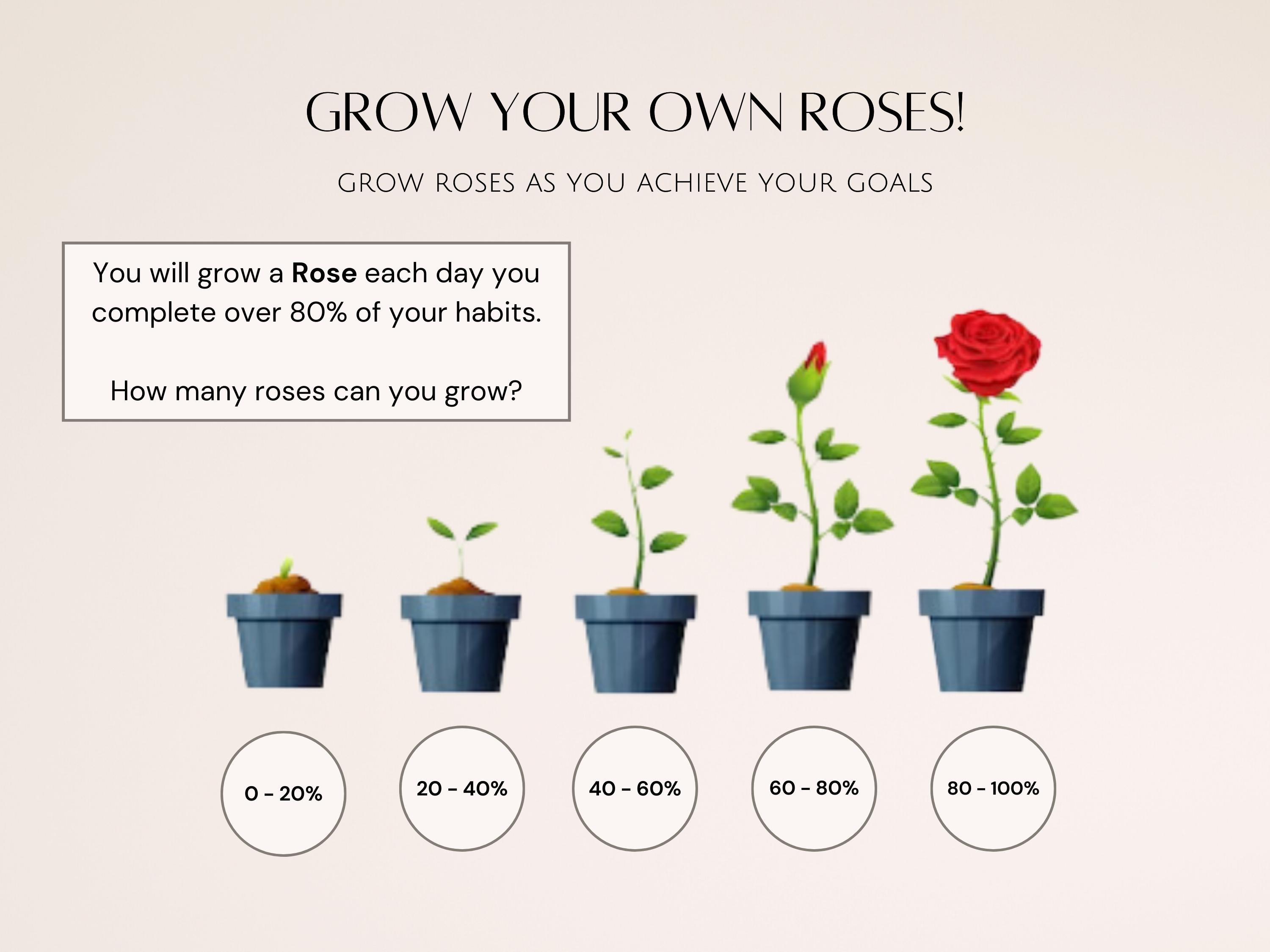 Google Sheets Habit Goal Tracker Spreadsheet Daily Self-improvement ...