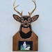 Custom Deer Mount Plaque, Antler Mount, First Deer Display ...