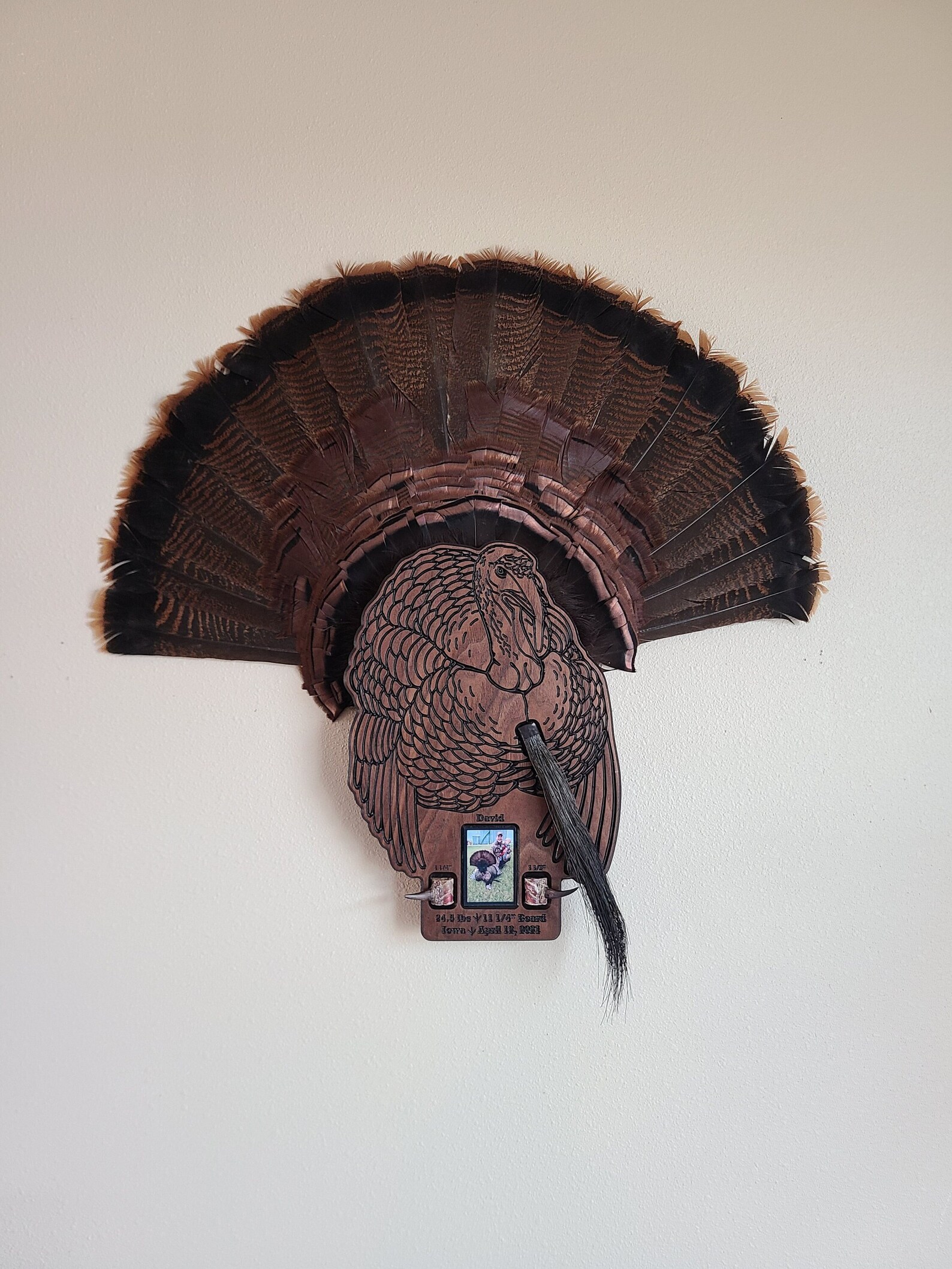 Custom Turkey Plaque Tail Mount, Personalized, Unique Fan, Beard, and ...
