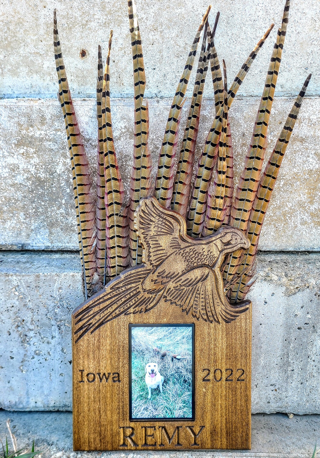 Pheasant Tail Mounting Plaque Personalized, Custom, Dog's Photo and ...