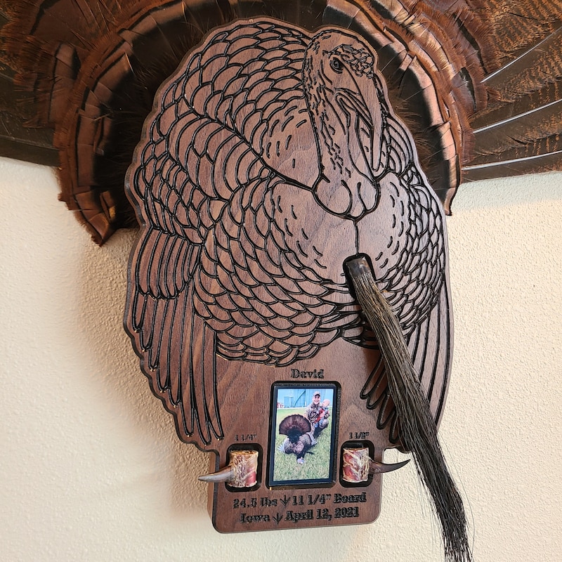 Turkey Fan Mount - Etsy