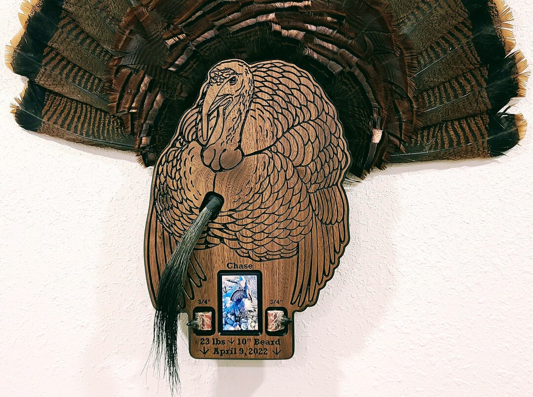Custom Turkey Plaque Tail Mount, Personalized, Unique Fan, Beard, and ...