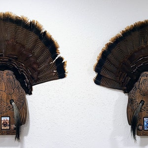 Custom Turkey Plaque Tail Mount, Personalized, Unique Fan, Beard, and ...