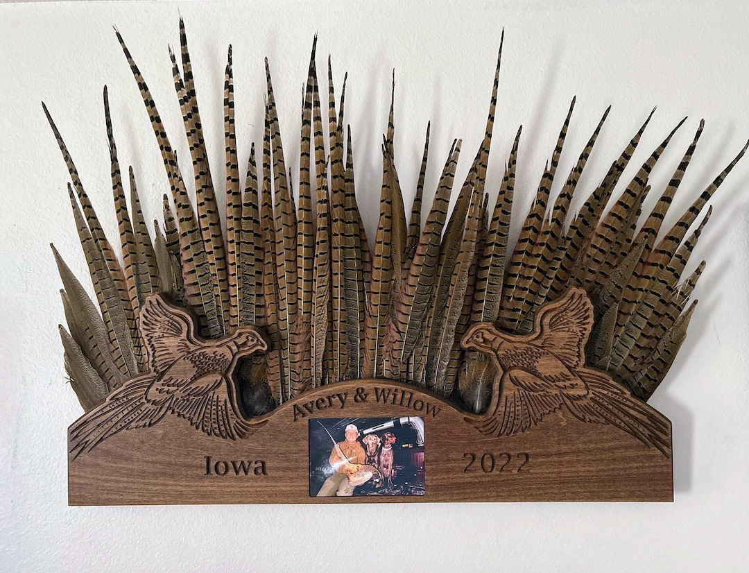 Personalized Double Wide Pheasant Tail Mount Plaque, Tail Feather ...