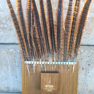 Pheasant Tail Mounting Plaque Personalized, Custom, Dog's Photo and ...