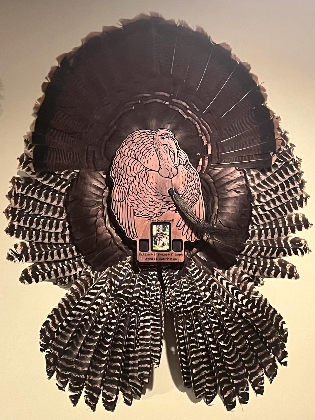 Custom Turkey Plaque Tail Mount, Personalized, Unique Fan, Beard, and ...