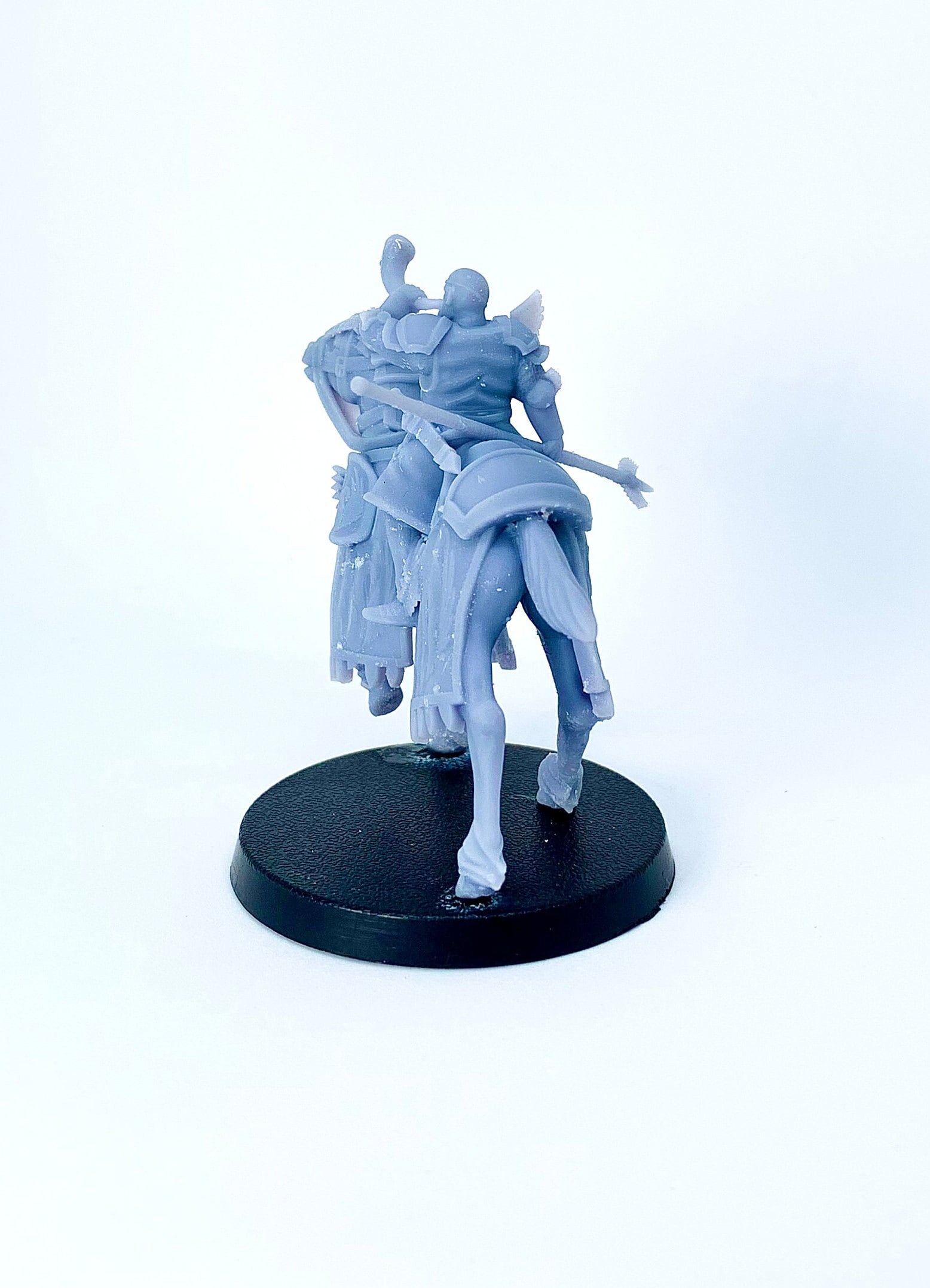 3D Printed Fat Swan Knight Foot and Mounted - Etsy