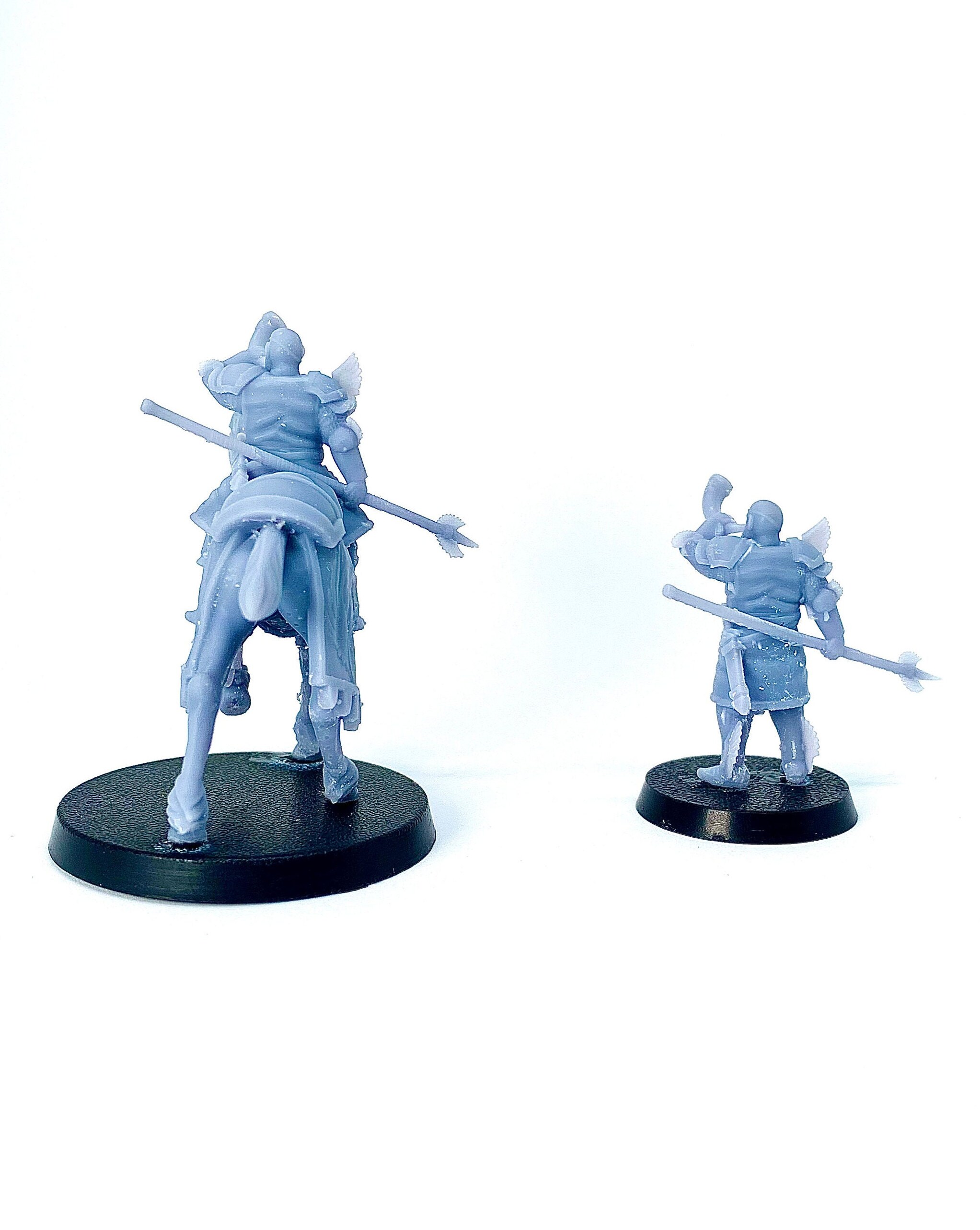 3D Printed Fat Swan Knight Foot and Mounted - Etsy