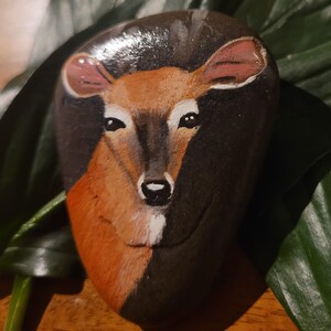 Hand Painted White Tailed Deer on Stone - Etsy