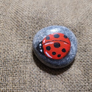 Hand Painted Ladybug on Stone - Etsy