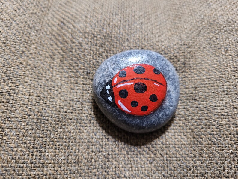 Hand Painted Ladybug on Stone - Etsy
